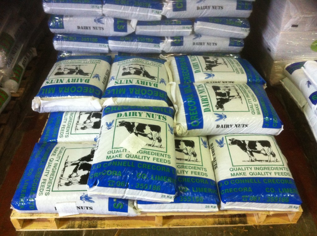 Why Feed Dairy Cows? - Crecora Mills